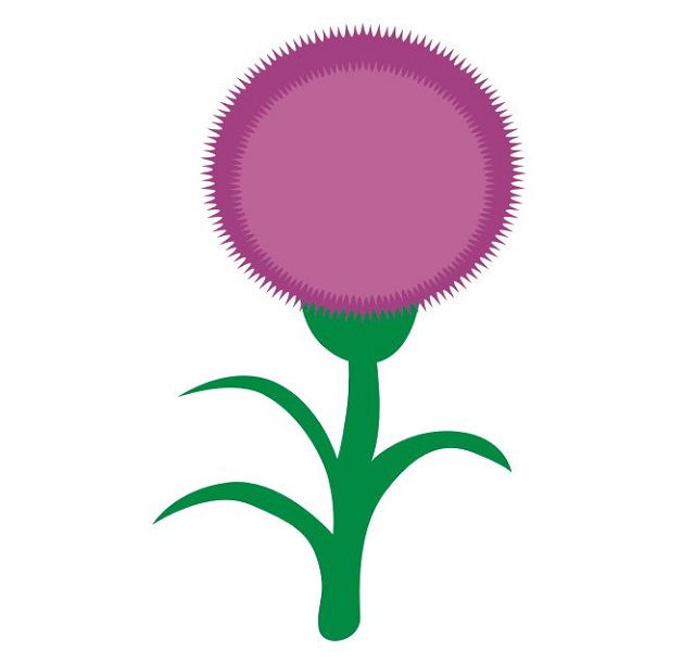 Flower thistle kids wall sticker make your own theme