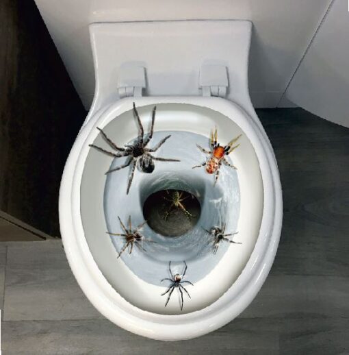 Spiders in toilet seat sticker - Colourfast Graphics