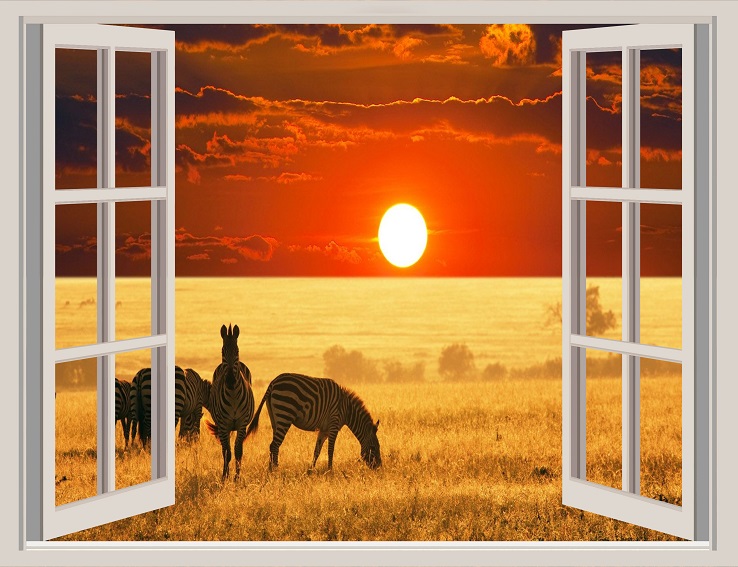 HD 3D window Wildlife 1 setting sun - Colourfast Graphics