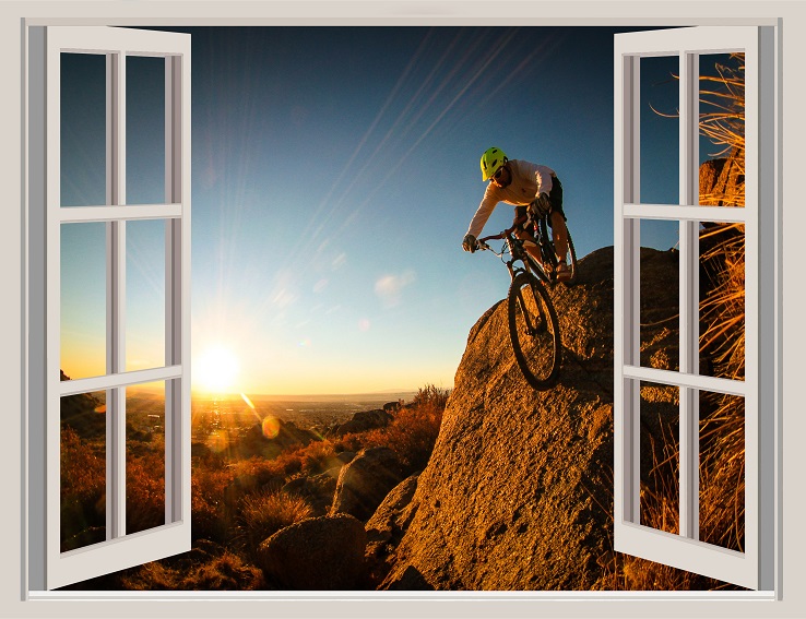 HD 3D Window mountain bike - Colourfast Graphics